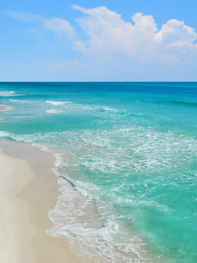 Differences Between the Ocean and the Gulf of Mexico - Best Western ...